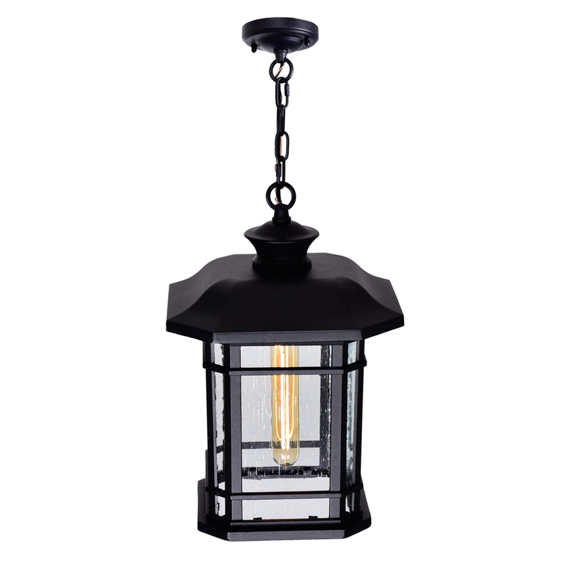 Blackburn 1 Light Black Outdoor Pendant with Clear Glass Design ...